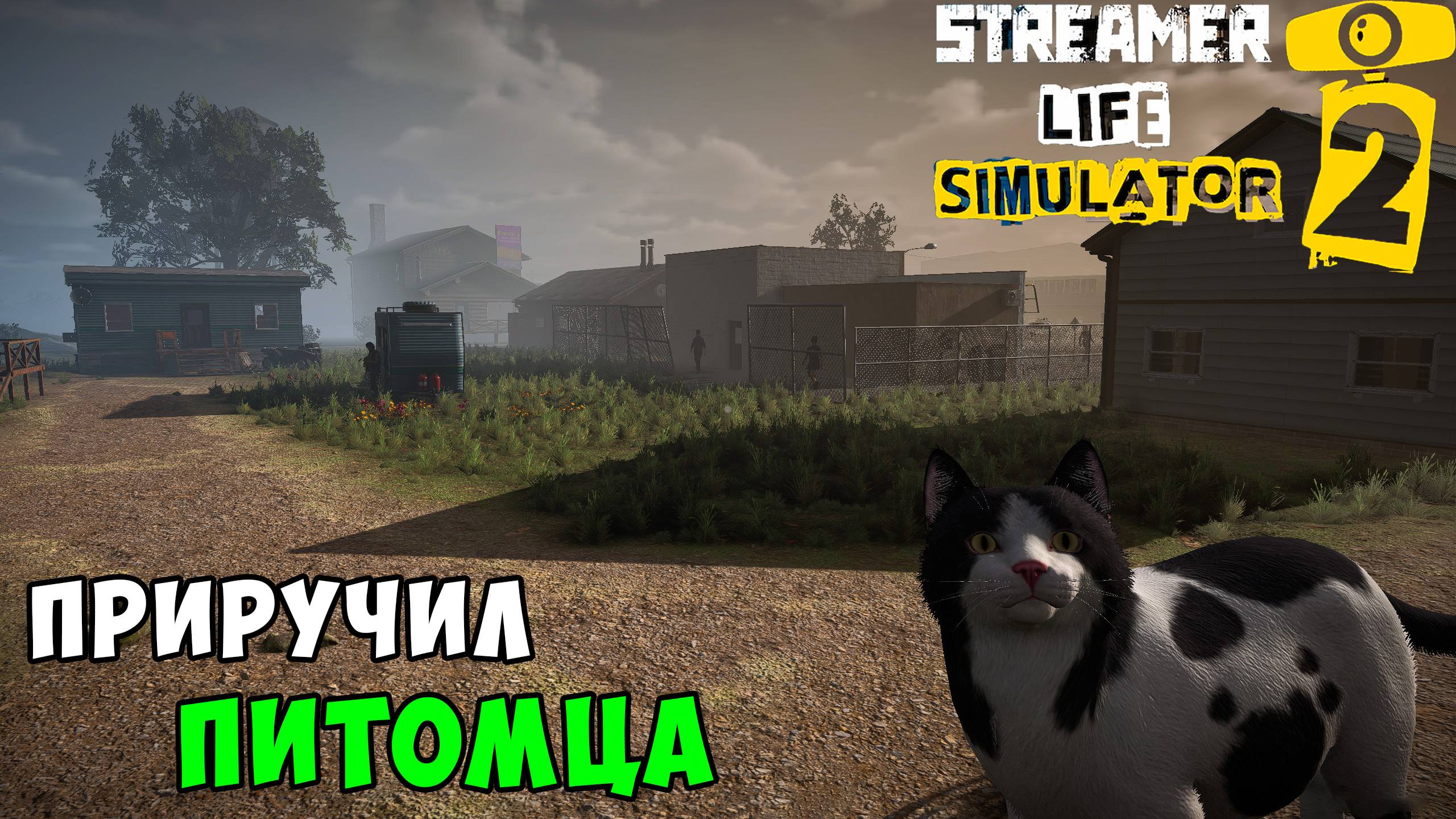 Streamer Life Simulator 2 - Завёл себе кота. Начинаю заниматься майнингом - Часть 4