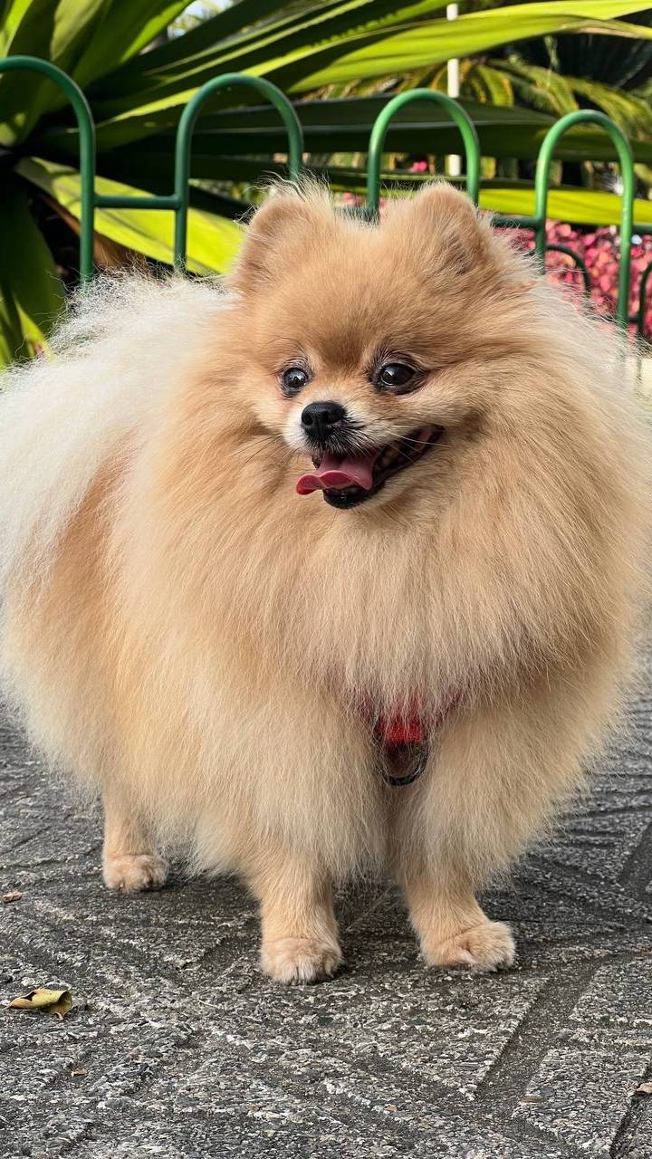 Как мы развлекаем Басеньку?