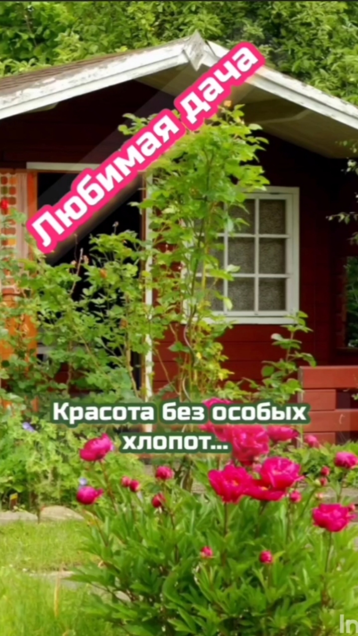 Красота без особых хлопот