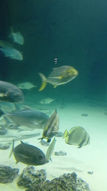 Путешествуйте выгодно
rosbillet.ru