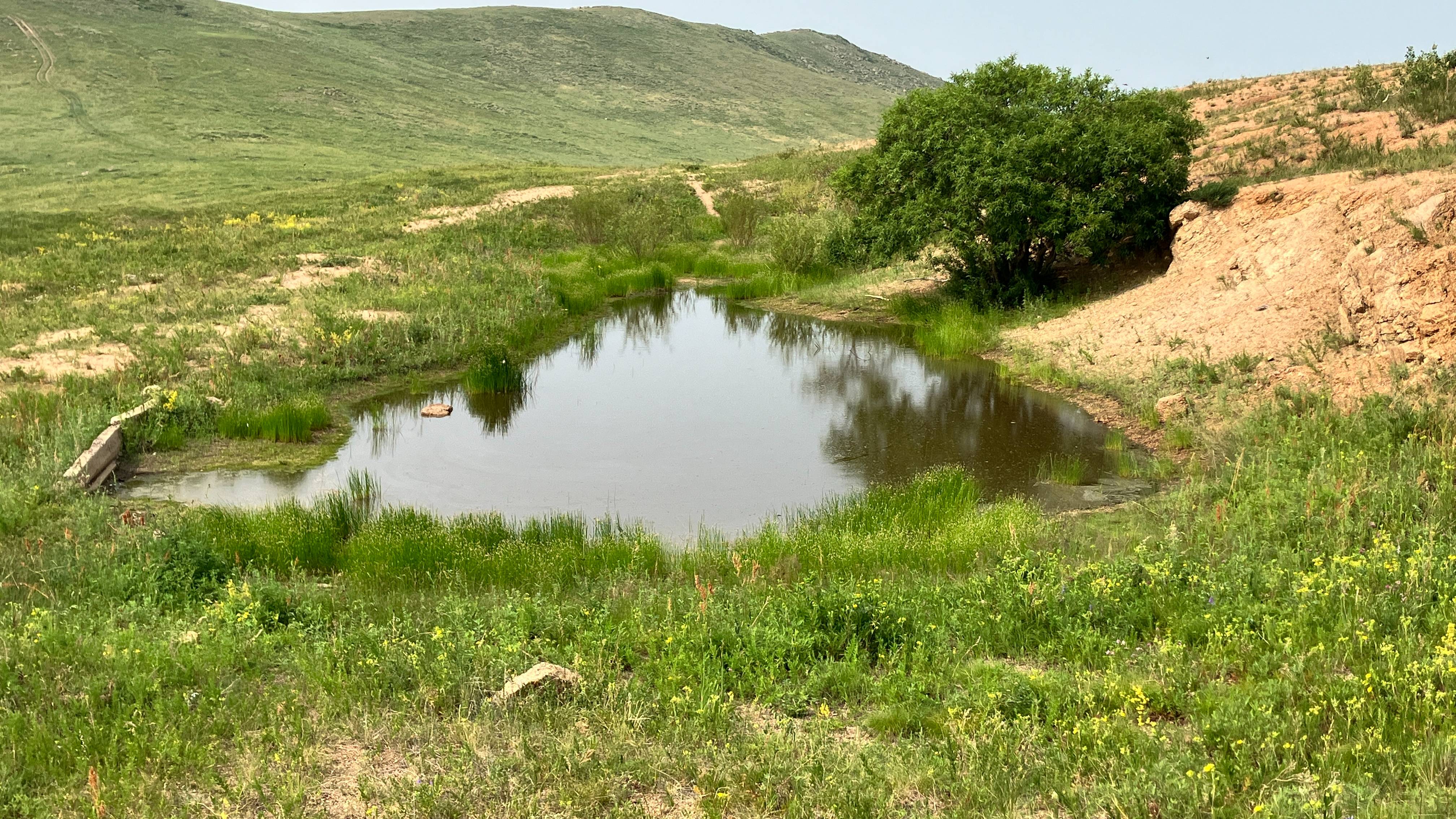 ЗЛАключение: Краснокаменск, Скрытое озерцо