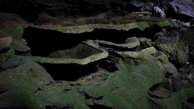 Look Level 4 School Trip 2 Video 8