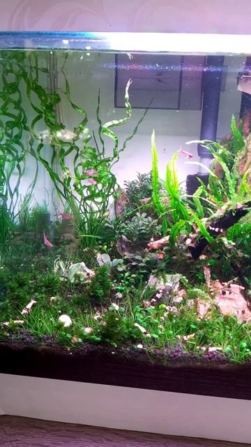 После прополки