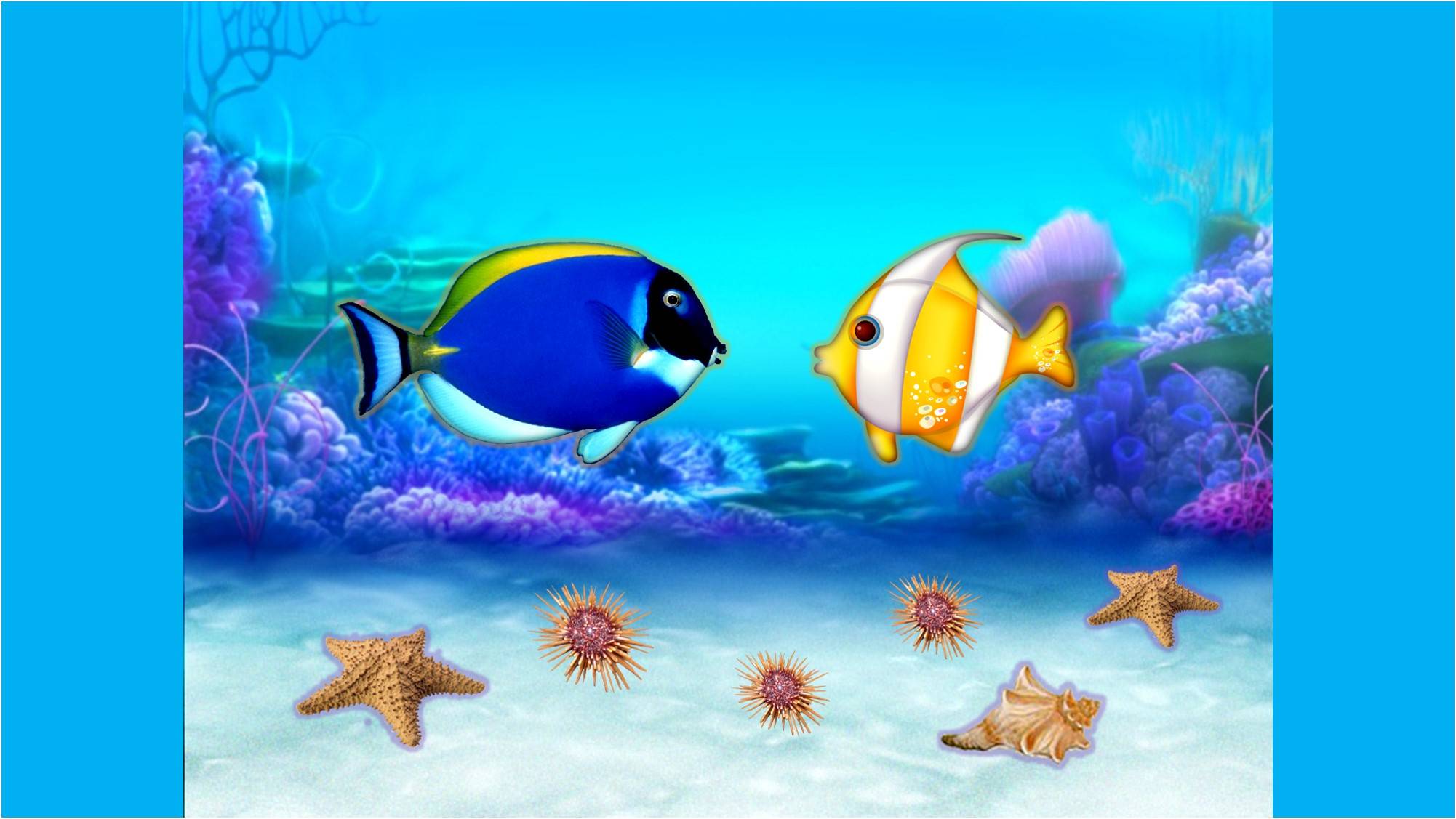 В краю медуз Ритмы