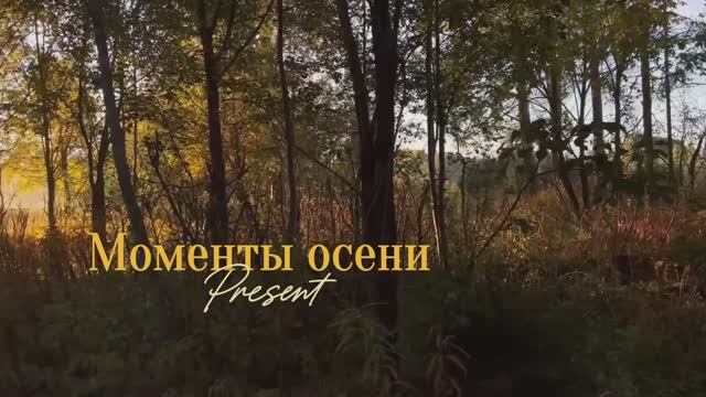 Моменты осени