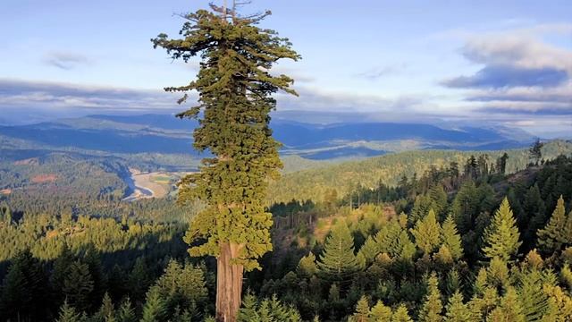 Look Level 4 School Trip 1 Video 3