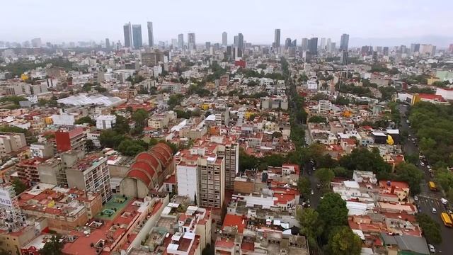 Look Level 4 Unit 11 Video 14