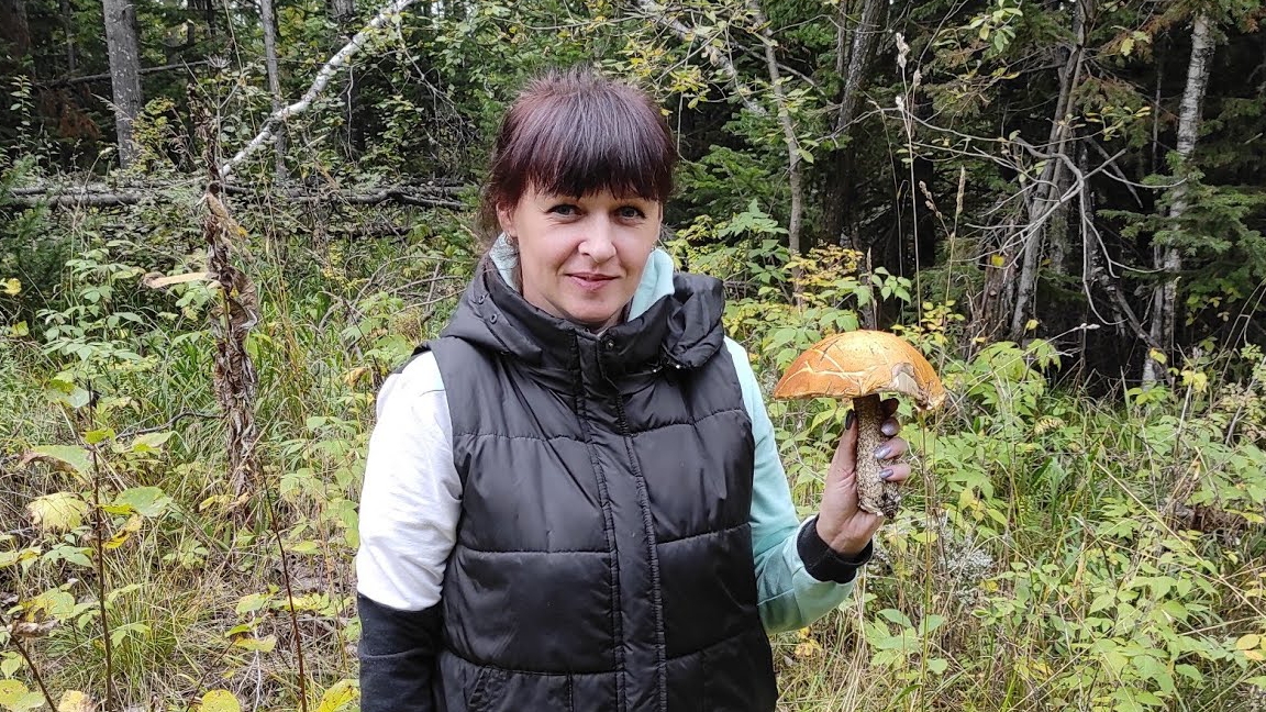 19.09.2023 В лес по грибы/испортила грибную икру/выкапываю чеснок