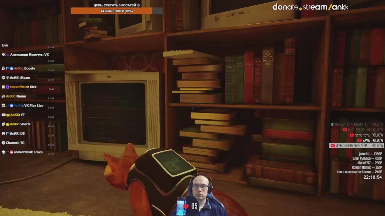 UnluckyStream #253 Stray 😼