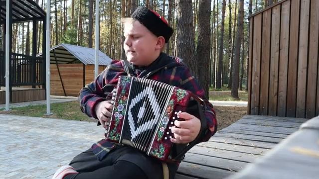 Когда бы имел златые горы.. под гармонь