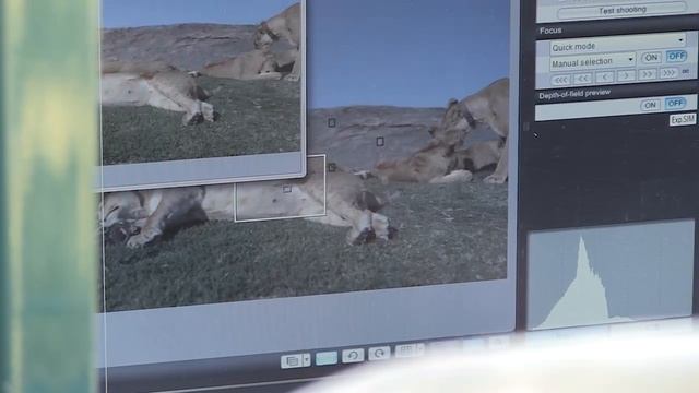 Look Level 4 School Trip 3 Video 13