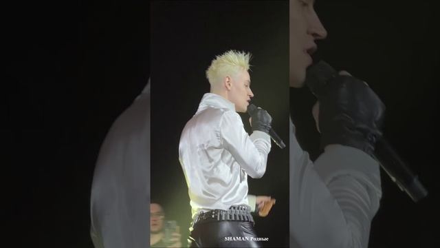 Экспрессия SHAMAN