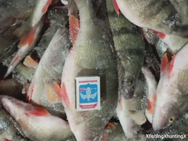 Зимняя охота и рыбалка. Итоги февраля!