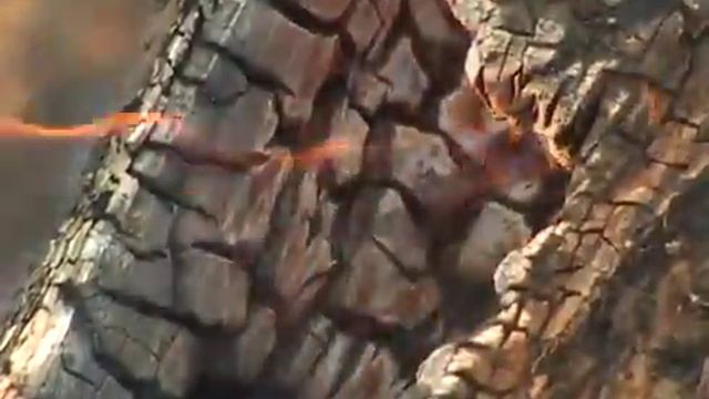 (ретро) пожары_05.17