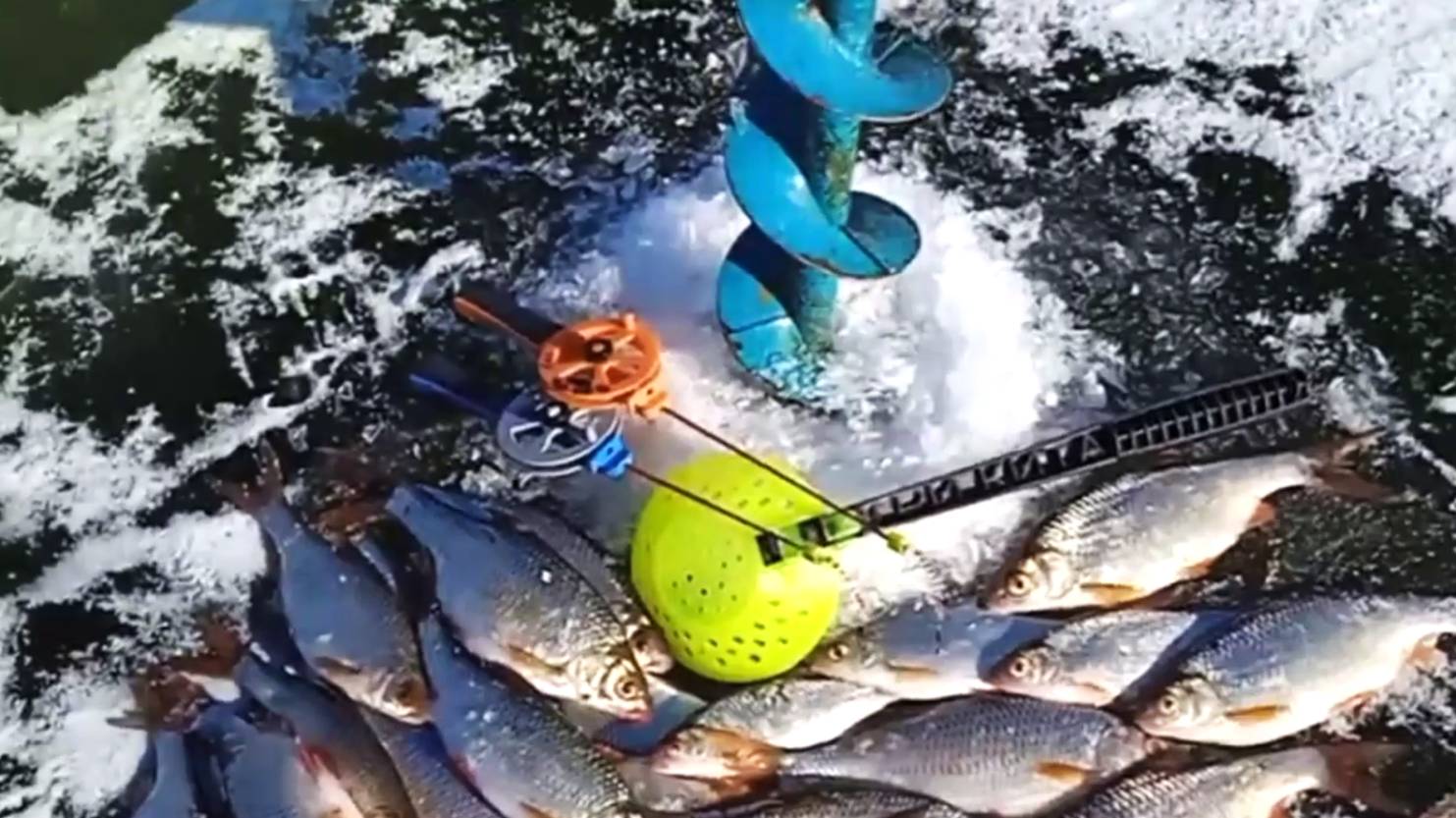 Вот это кайф февральский клев на безмотылку как ни когда.