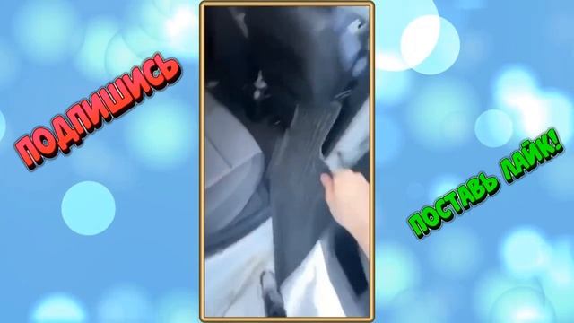 Если застряли в снежном сугробе