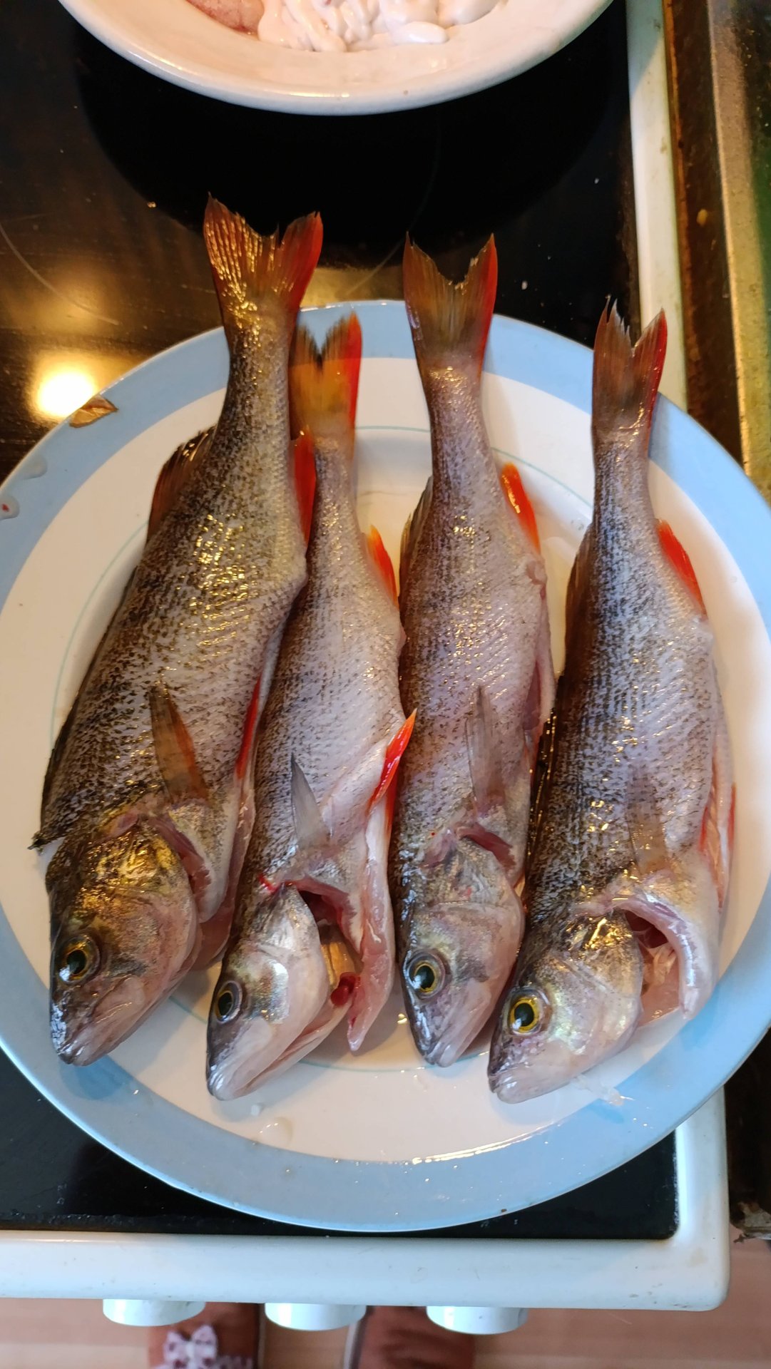 Электрическая рыбочистка .mp4