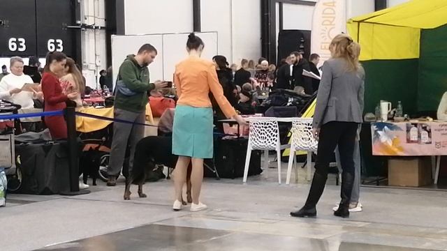 Класс Чемпионов