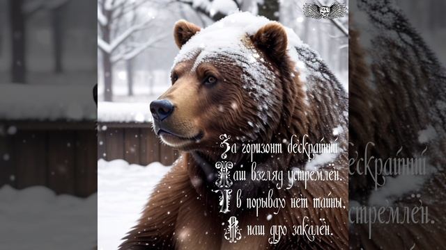 Смотрим только ВПЕРЁД | Песня про русского бурого медведя 😁