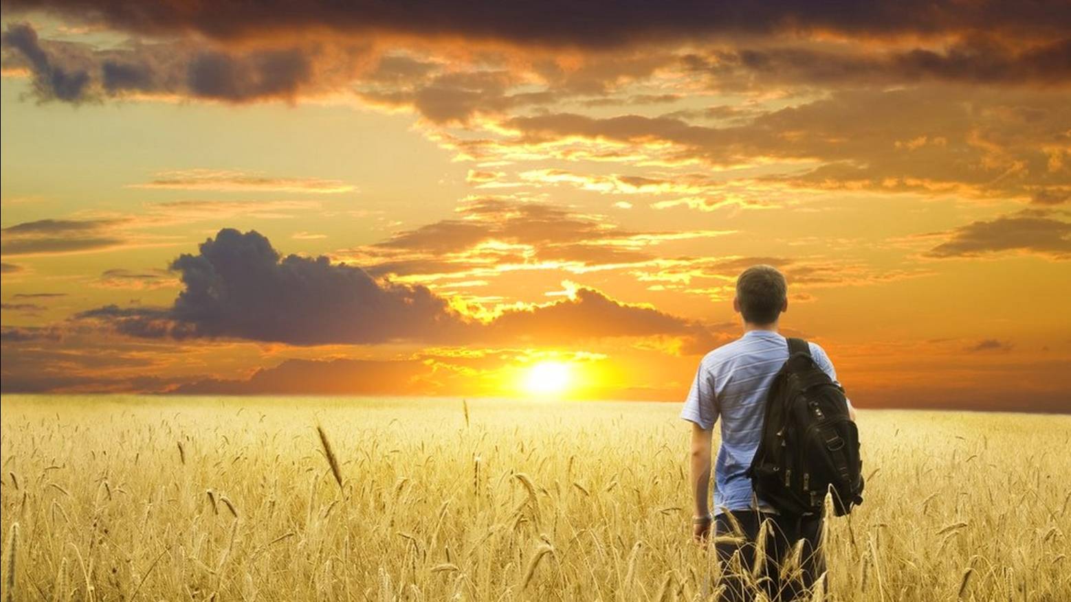 ПРОСТО прохожий. И на VK Видео — НАВСТРЕЧУ НОВОМУ СОЗНАНИЮ...