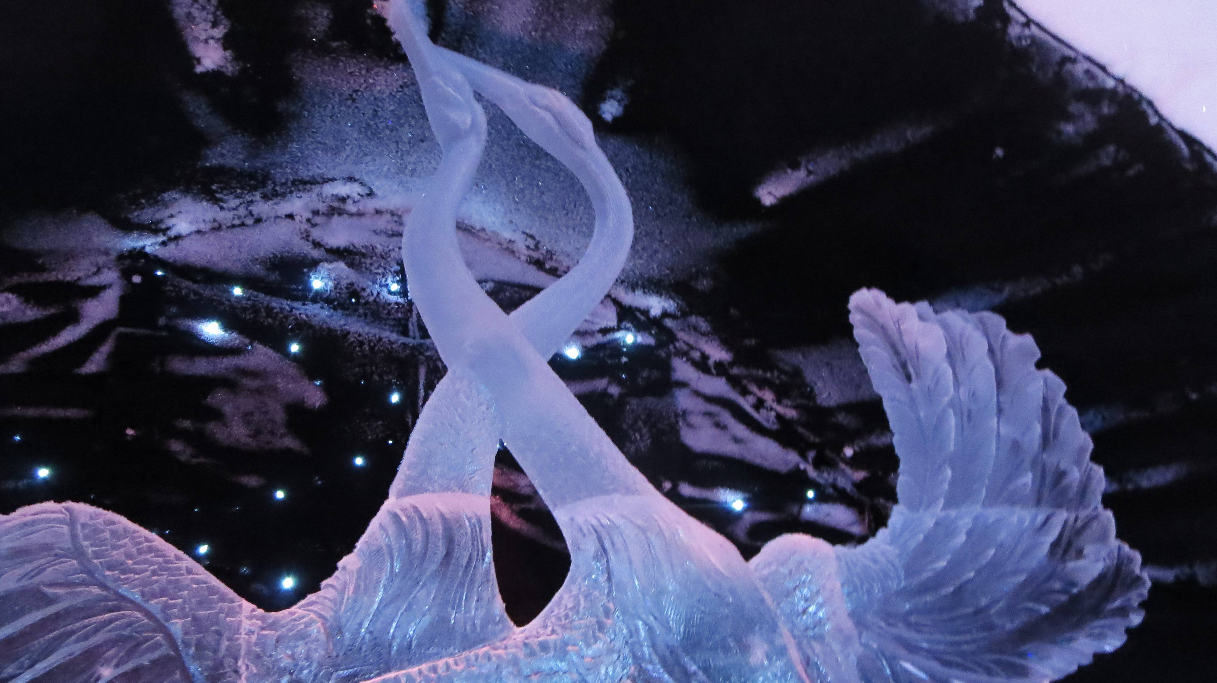 Охота за полярным сиянием. Снежная деревня. Кировск. В поисках удивительного чуда природы.