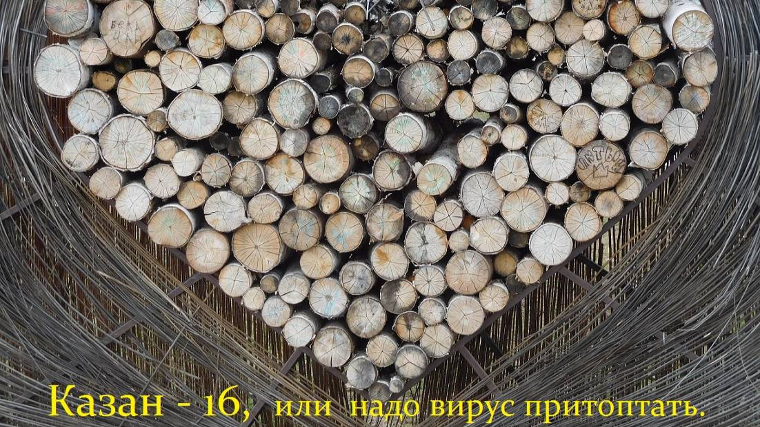 Нейромонах Феофан | Чтобы радость испытать, надо поле притоптать.