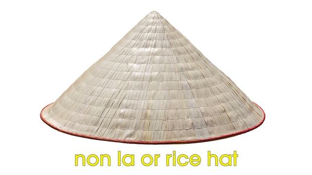 Look Level 4 Unit 6 Video 7