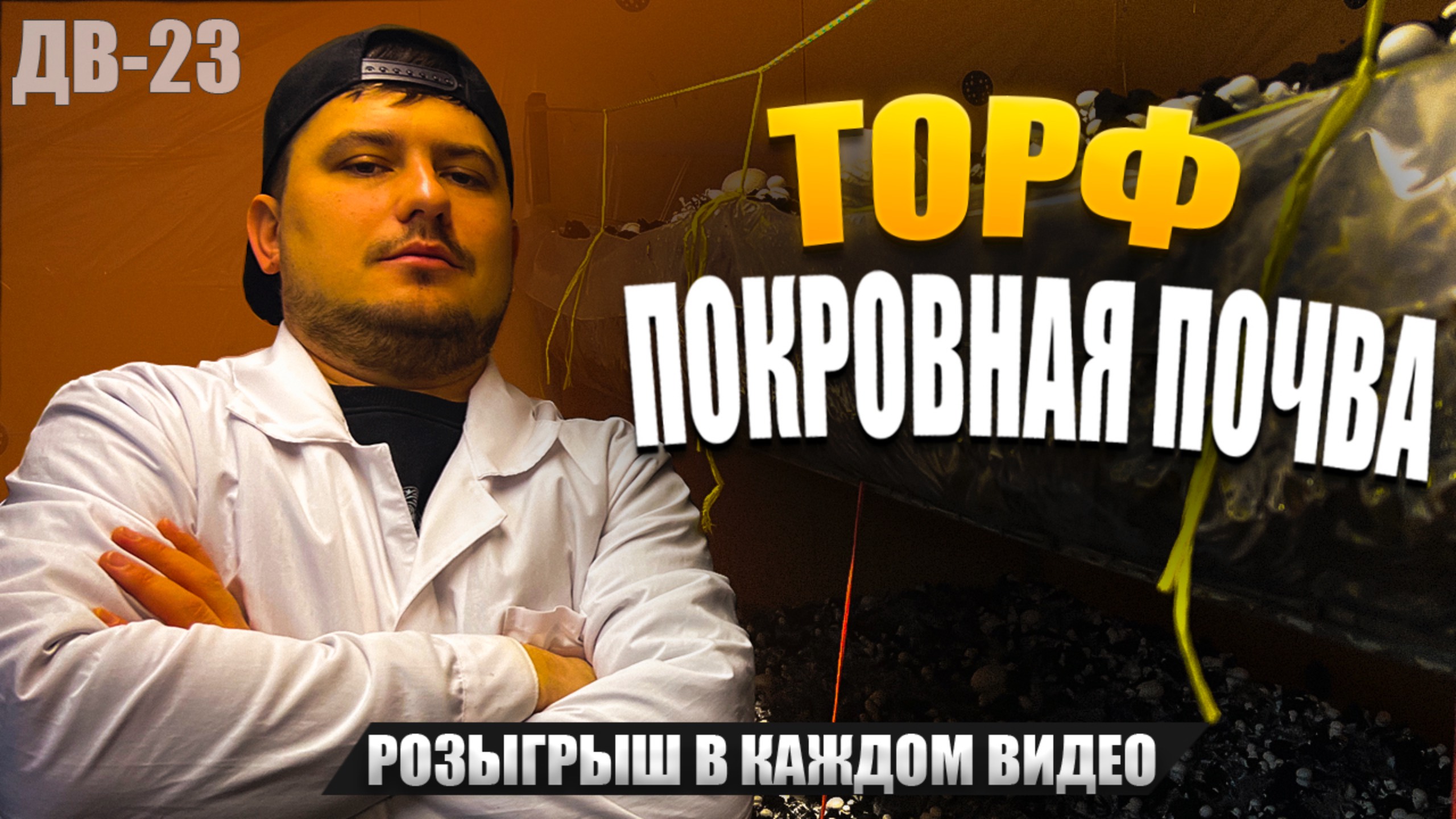 РАБОТА НА ГРИБНОЙ ФЕРМЕ | БИЗНЕС В ПОДВАЛЕ | ДВ 23