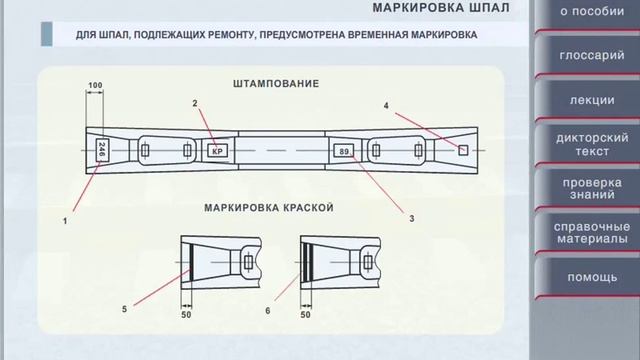 Устройство и текущее содержание бесстыкового пути