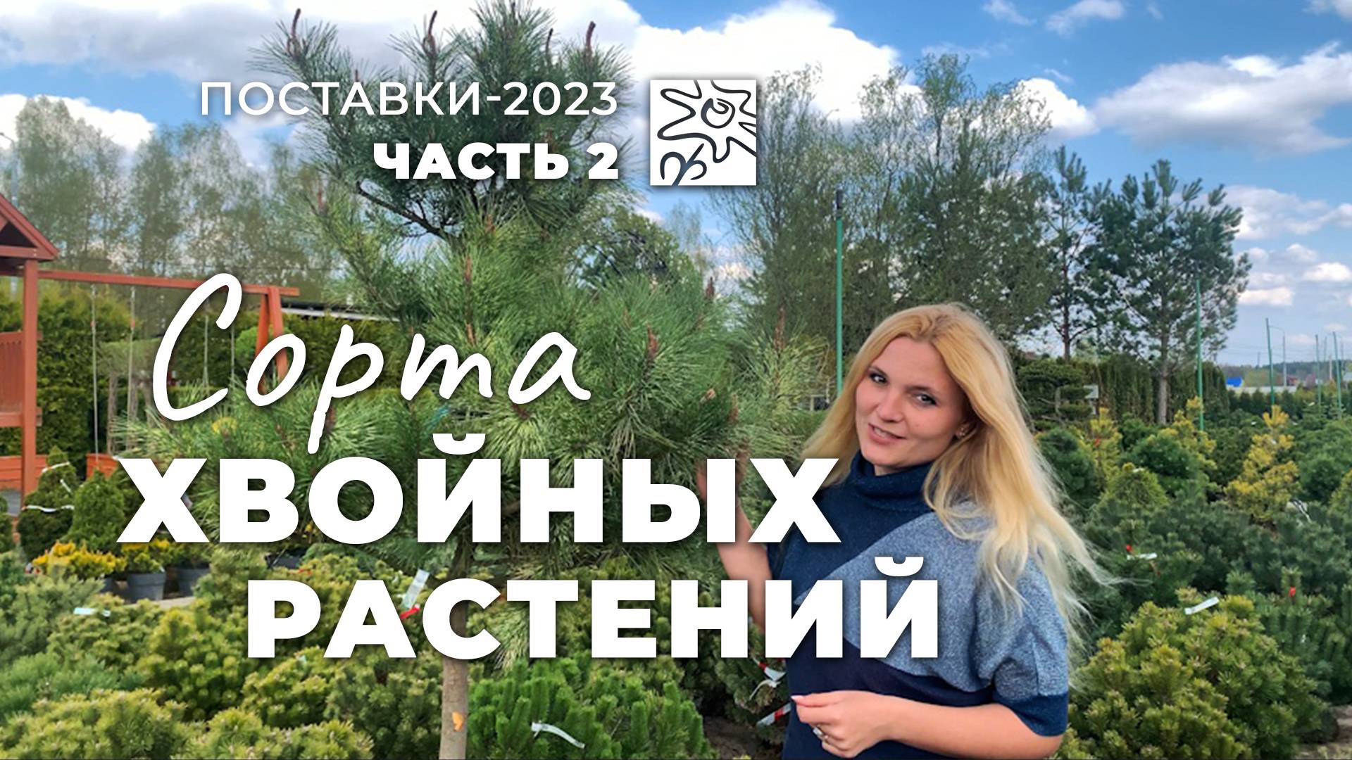 Хвойные растения в Ромашкино Парк: выпуск 2