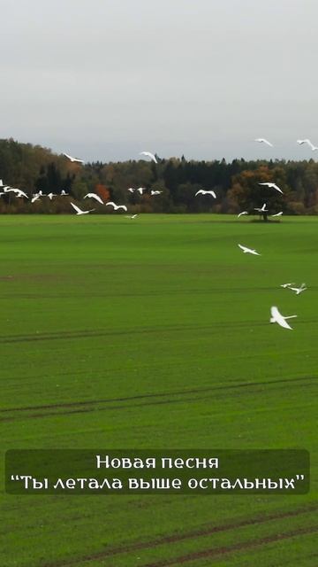 Ты летала выше остальных#shorts