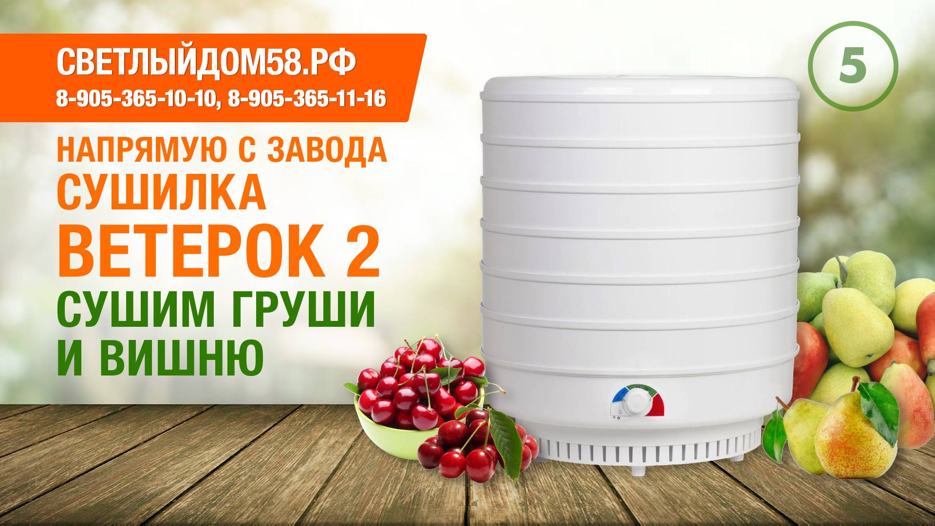 5. Сушилка Ветерок 2. Лучшие сушилки для овощей и фруктов. Домашние чипсы и сушеные овощи на зиму.