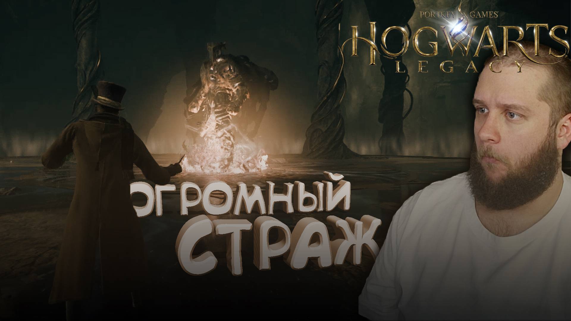 ОЧЕРЕДНОЕ ИСПЫТАНИЕ // Hogwarts Legacy (Хогвартс Наследие) #18