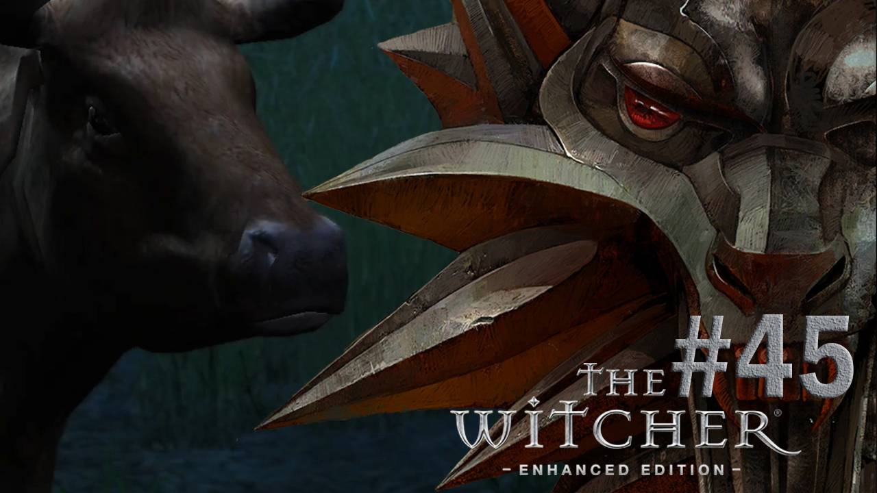 Прохождение Ведьмак. Окрестности Темноводья #45