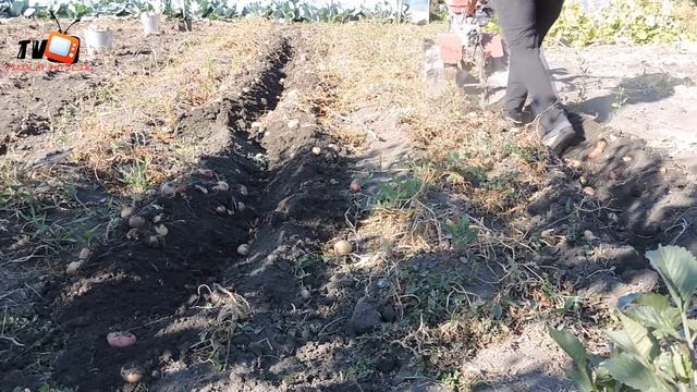 15 минут из жизни мотоблока "Хопёр"