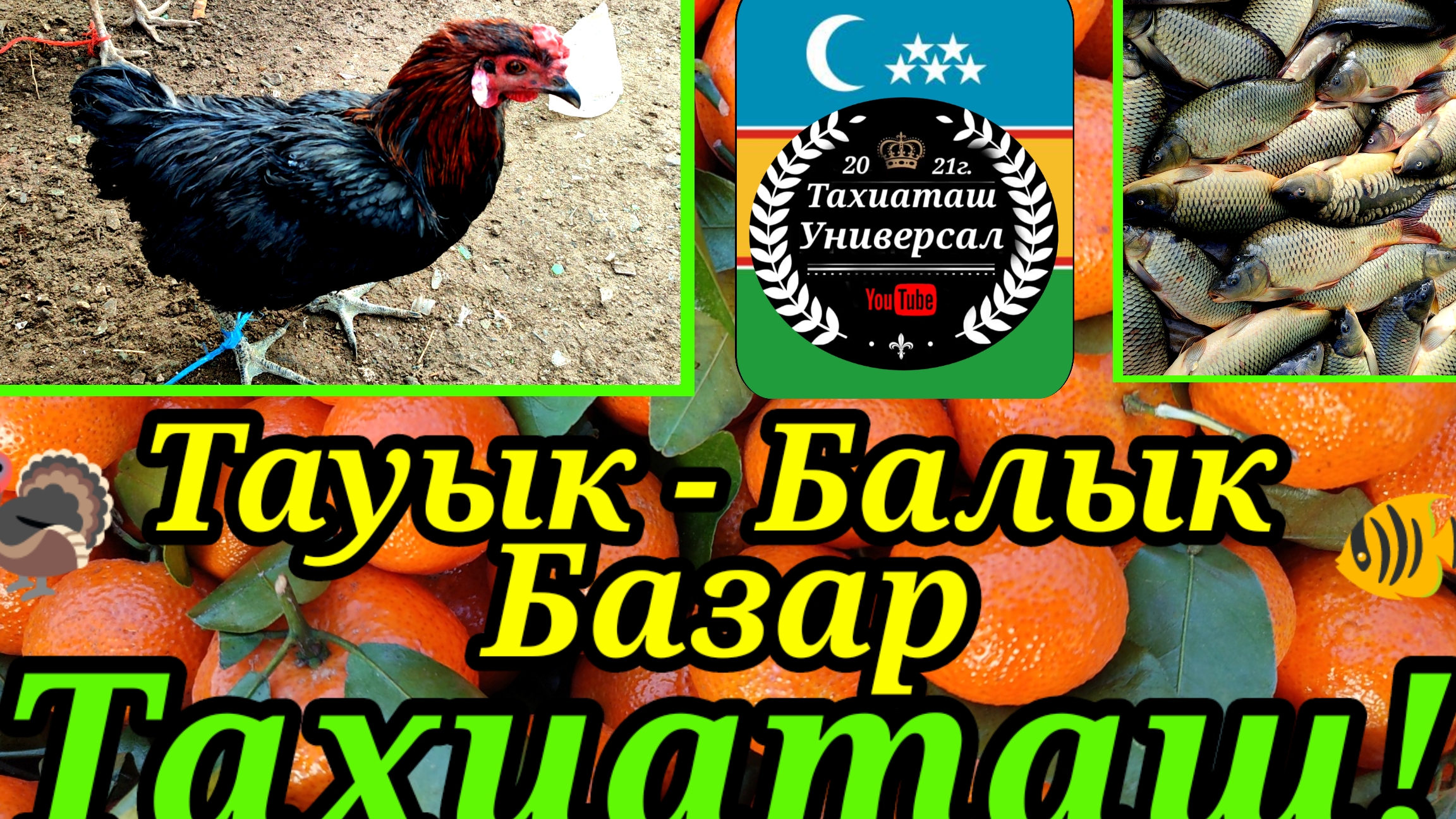 24-02-2025 ПТИЧИЙ РЫНОК -РЫНОК РЫБ