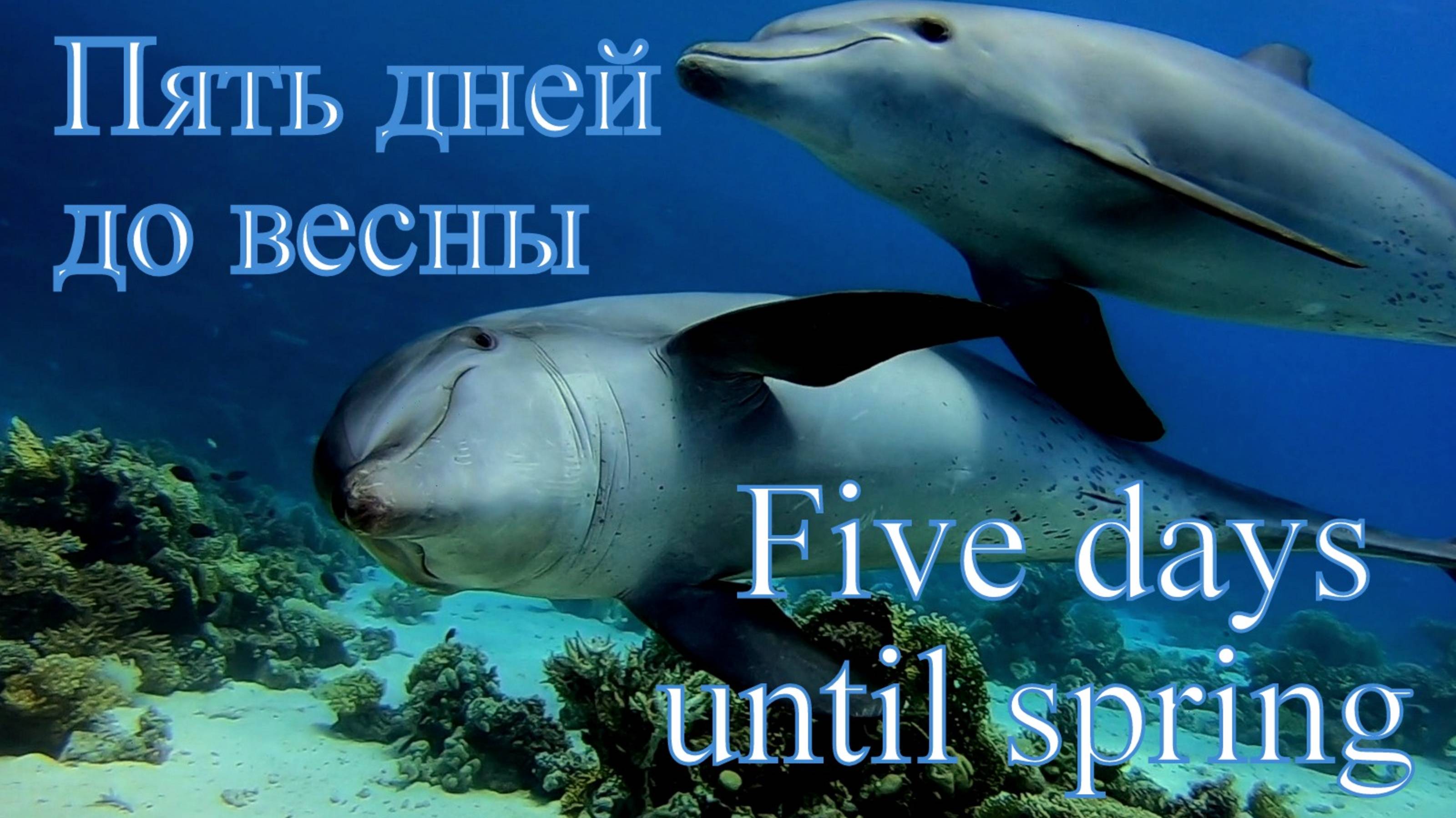 Пять дней до весны