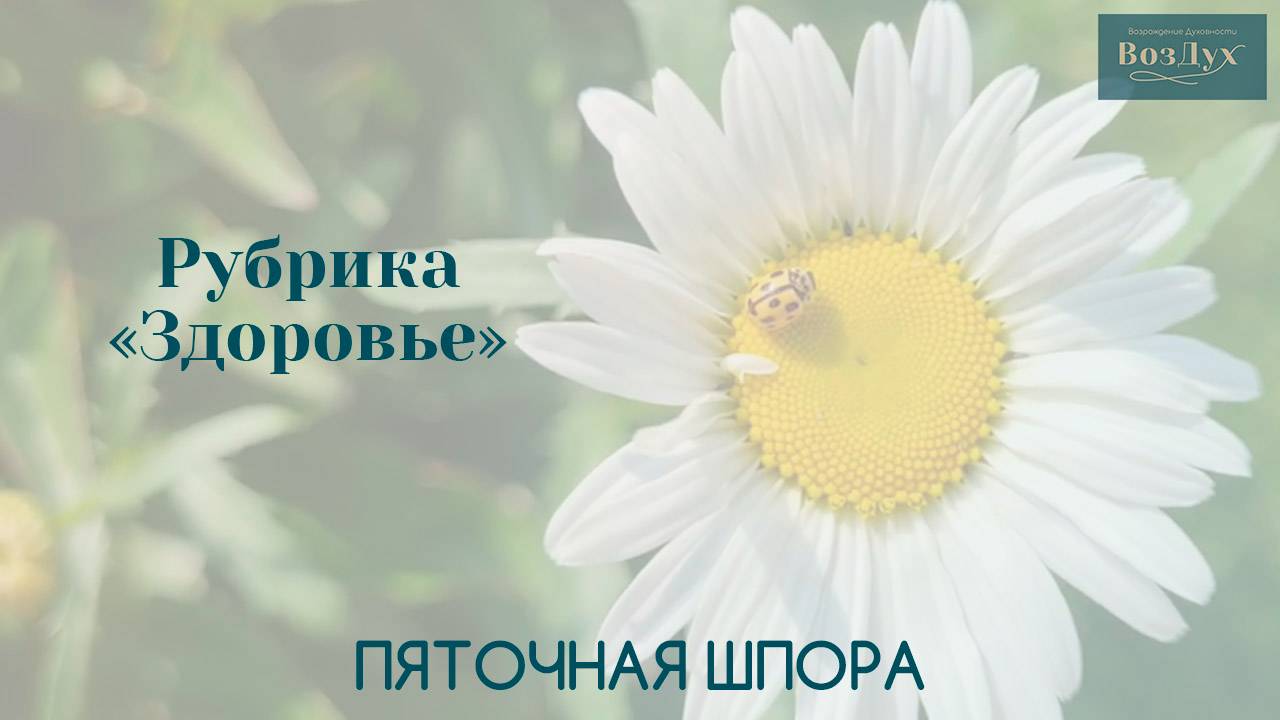 Пяточная шпора | Психосоматика | Самочувствие | Татьяна Бекаревич