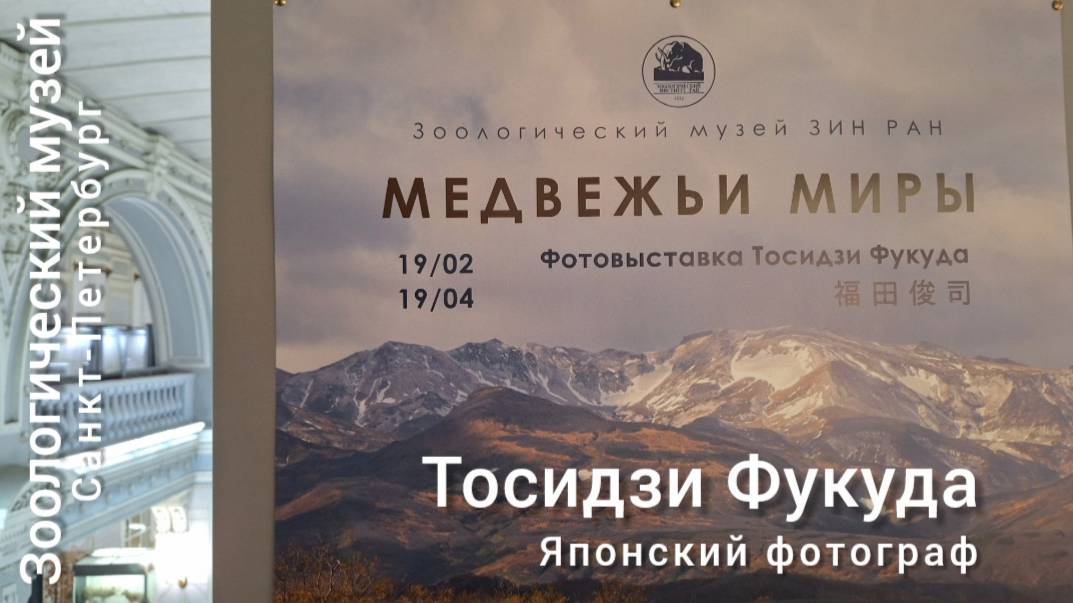 "Медвежьи миры"- открытие выставки японского фотографа Тосидзи Фукуда в Зоологическом музее 18.02.25