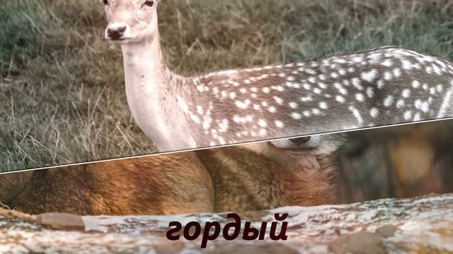 Мы похожи на вас
