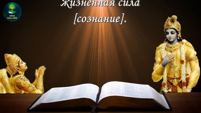 Бхагавад-гита 10.20-25