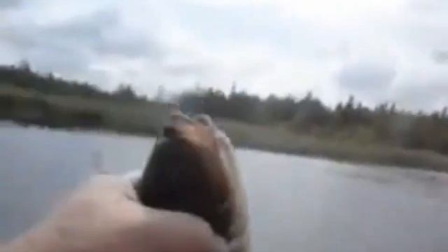 Моё интро на 1 апреля (30.03.23-01.04.23 включительно).