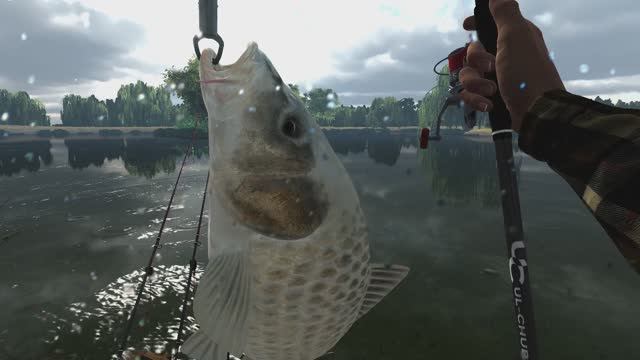 Fishing Planet. Випинг Виллоу, Англия. Карп, Амур, Сазан. Дождь