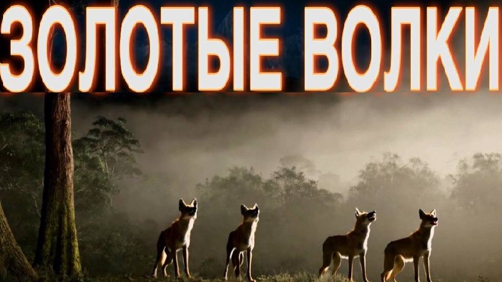 ОХОТА на ПРИВАДЕ  СКОРО!