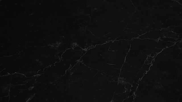 № 49 Венеция чёрная