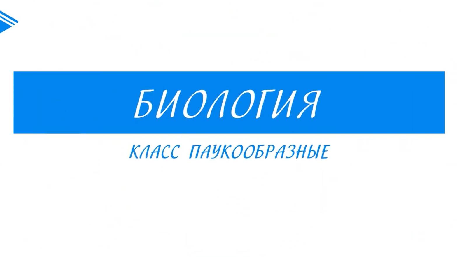 7 класс - Биология - Класс паукообразные