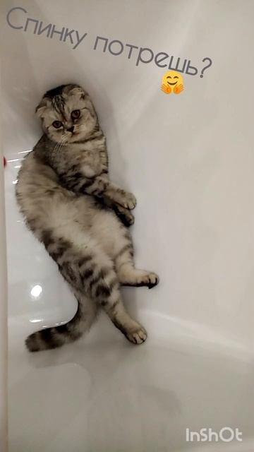 У Буси водные процедуры😄