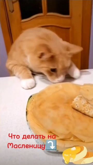 Традиции Масленицы на каждый день