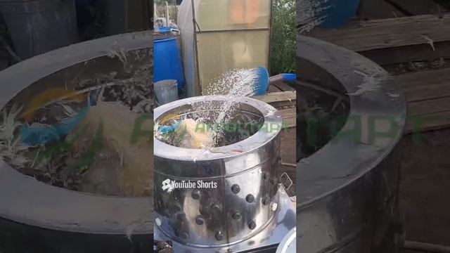 Перосъемная машина NT600A ощип утки. отзыв покупателя. АГРОСТАРТ