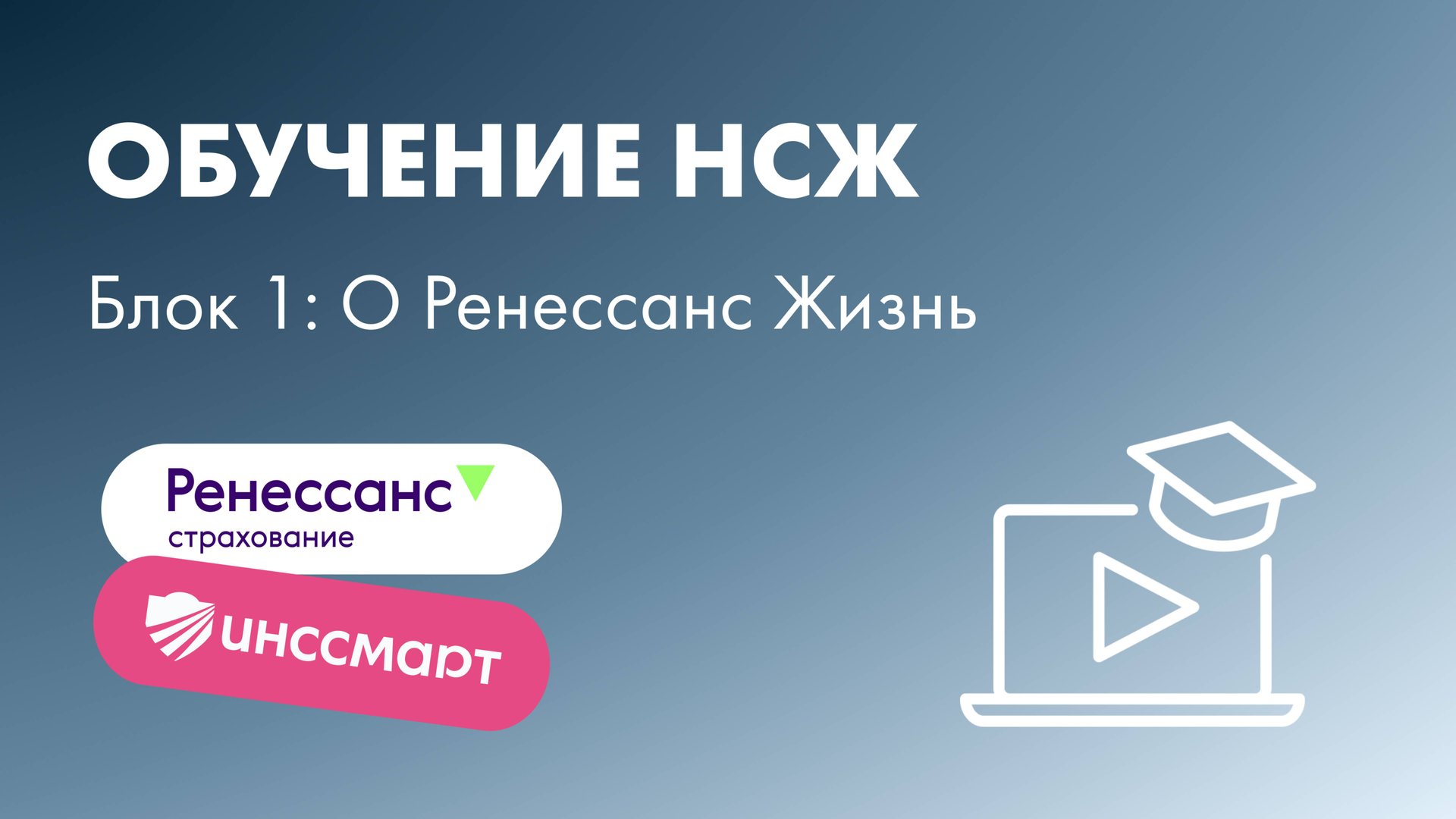 Обучение НСЖ: О Ренессанс Жизнь